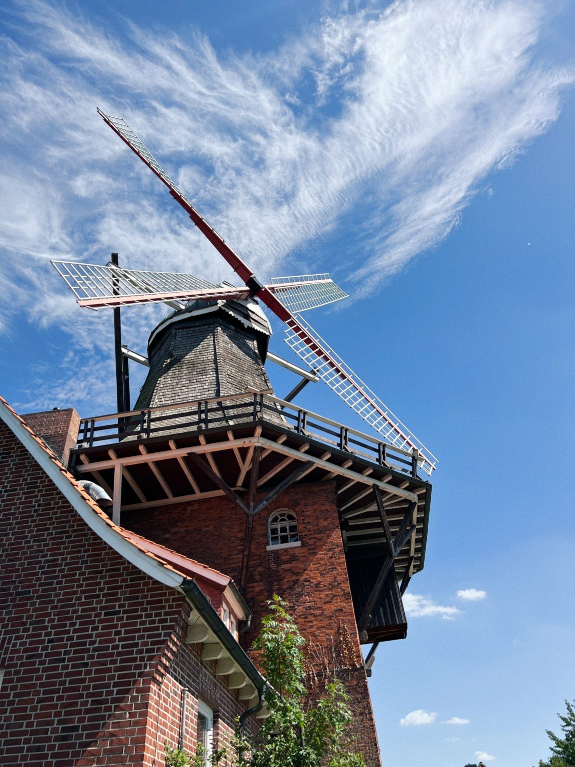 Das Alte Land →→ Ausflug & Urlaub Tipps für Familie